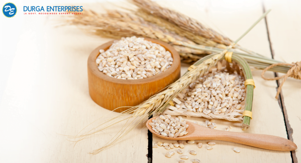 Barley - Best & Ultimate Guide For A Healthier Body
