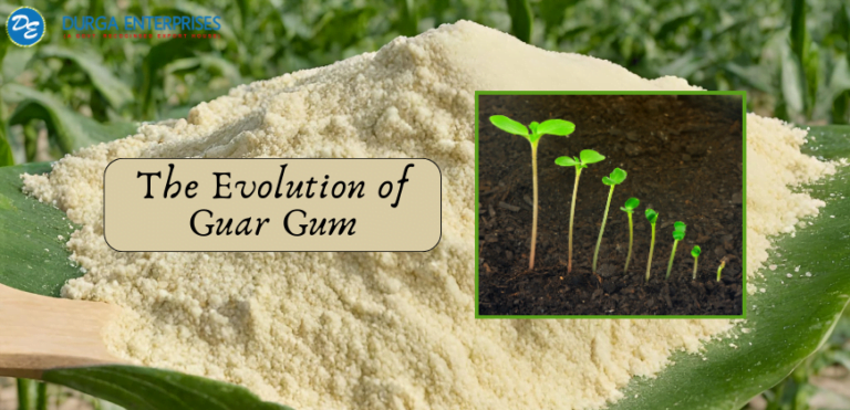 Guar Gum Evolution: From Origin to Modern Uses