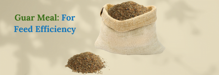 Types of Guar Meal: Korma and Churi Explained